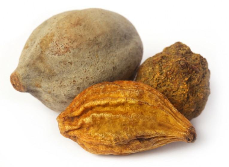 Terminalia Bellerica- BELLIRIC MYROBALAN(विभीतकी) Medicinal uses in ...